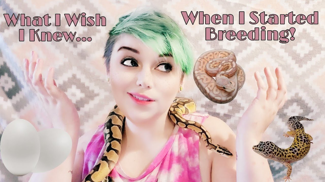 What I Wish I Knew When I Started Breeding! - YouTube