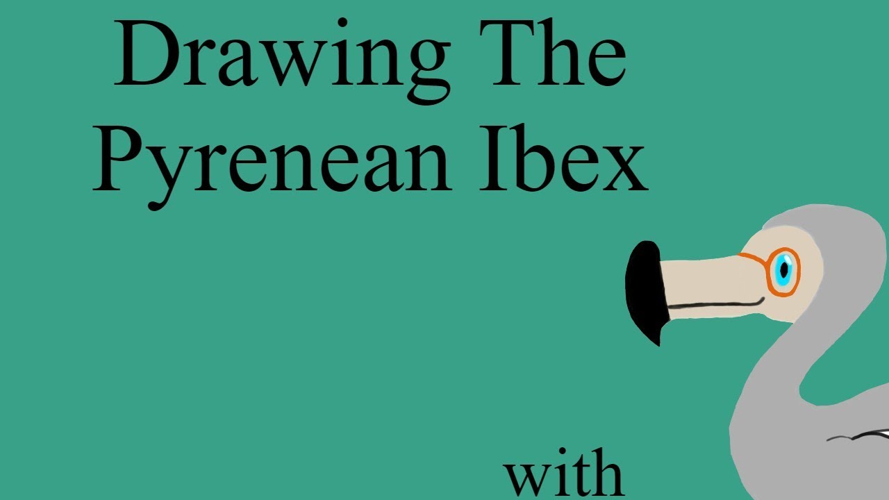 Drawing Extinct Animals #21:The Pyrenean Ibex - YouTube