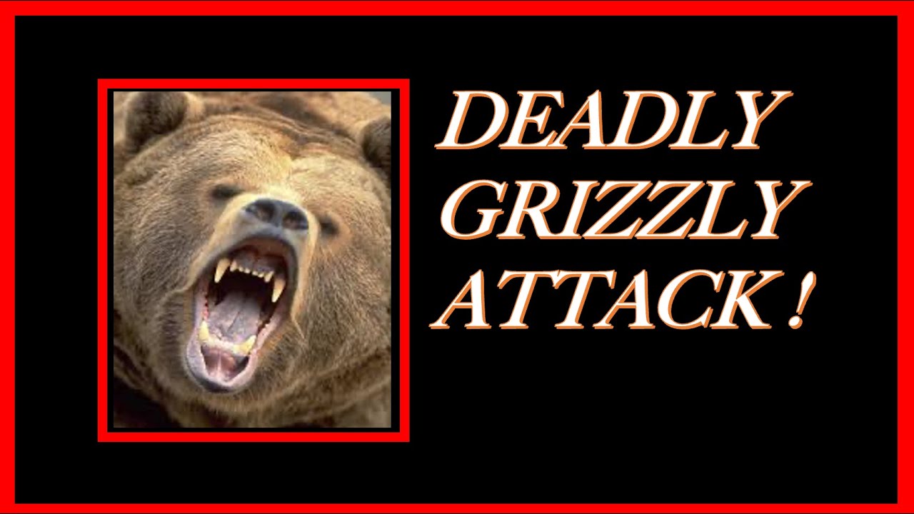 "The Violent End of Timothy Treadwell, Grizzly Bear Advocate . . . and ...