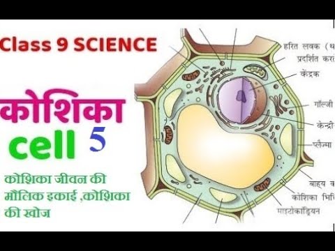 biology fundamental Unit of life , Class - 9th science , Protoplasm is ...
