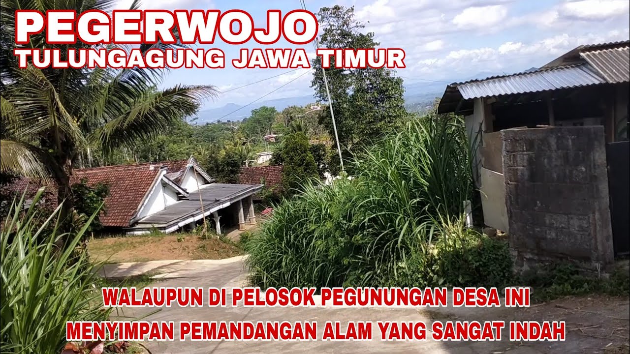 Pedesaan Jawa Timur Suasana Desa Terpencil di Tengah Hutan || Kehidupan ...