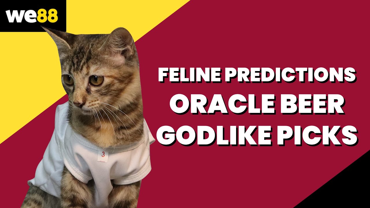 FIFA World Cup 2022 Cat Godlike Underdog Prediction Highlights - YouTube