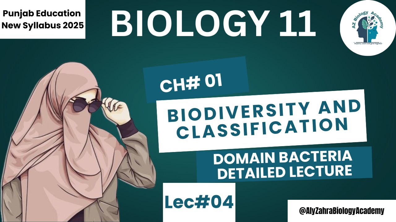 Three Domain System| Domain bacteria| Characteristics of Bacteria |11th ...