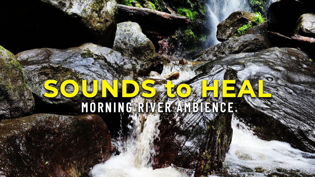 Morning River Ambience | Best Nature Sound to Heal - YouTube
