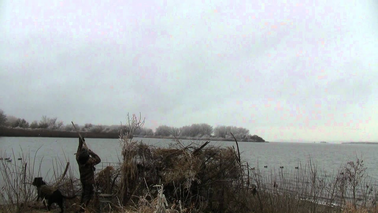 December Duck Hunting in Oregon - YouTube