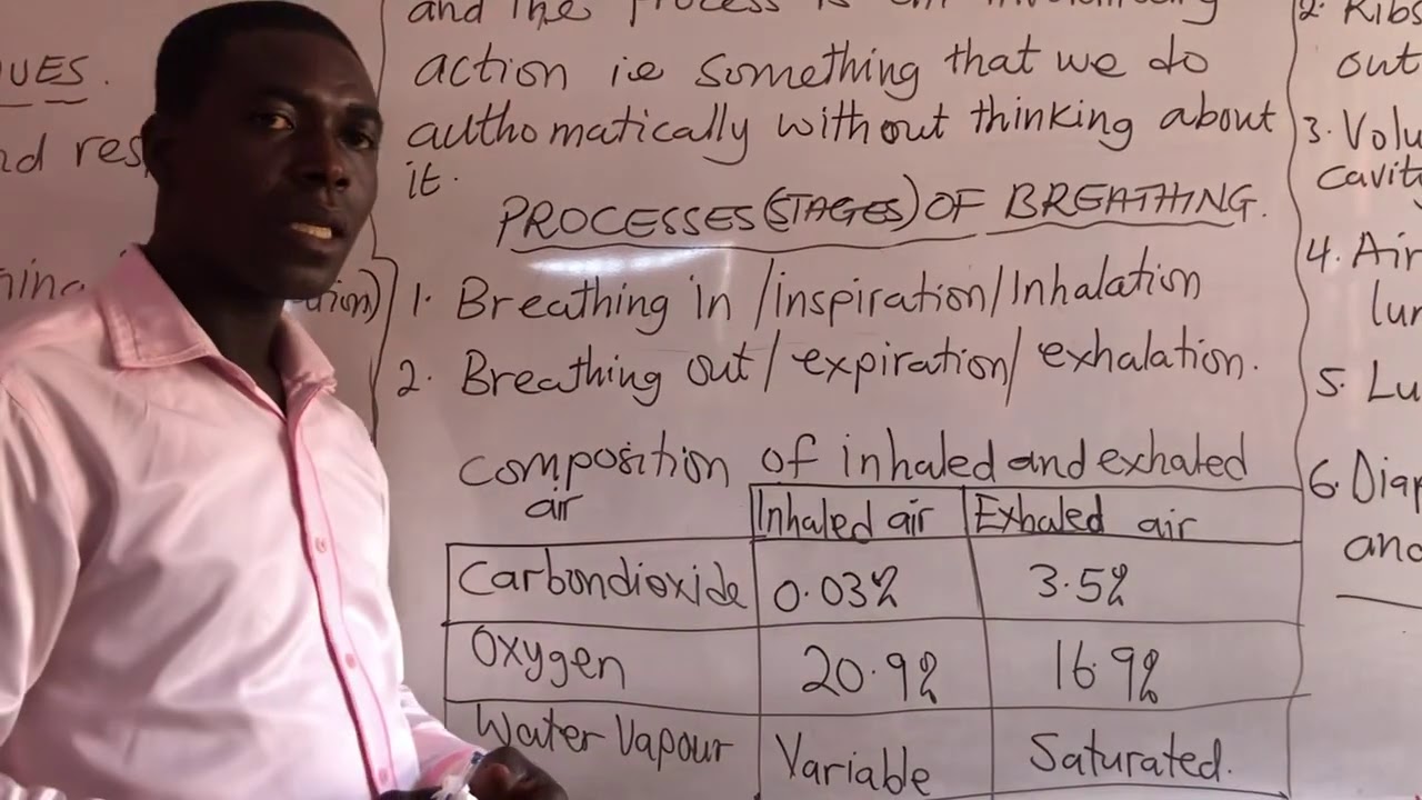 JHS ONE-Science - YouTube