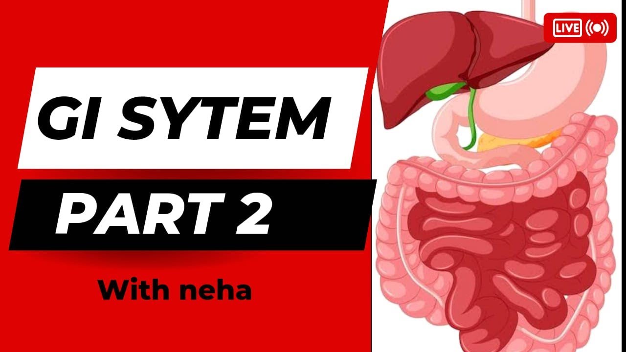 Gastrointestinal System part -2 | Layers of GI Tract | Anatomy for Bsc ...