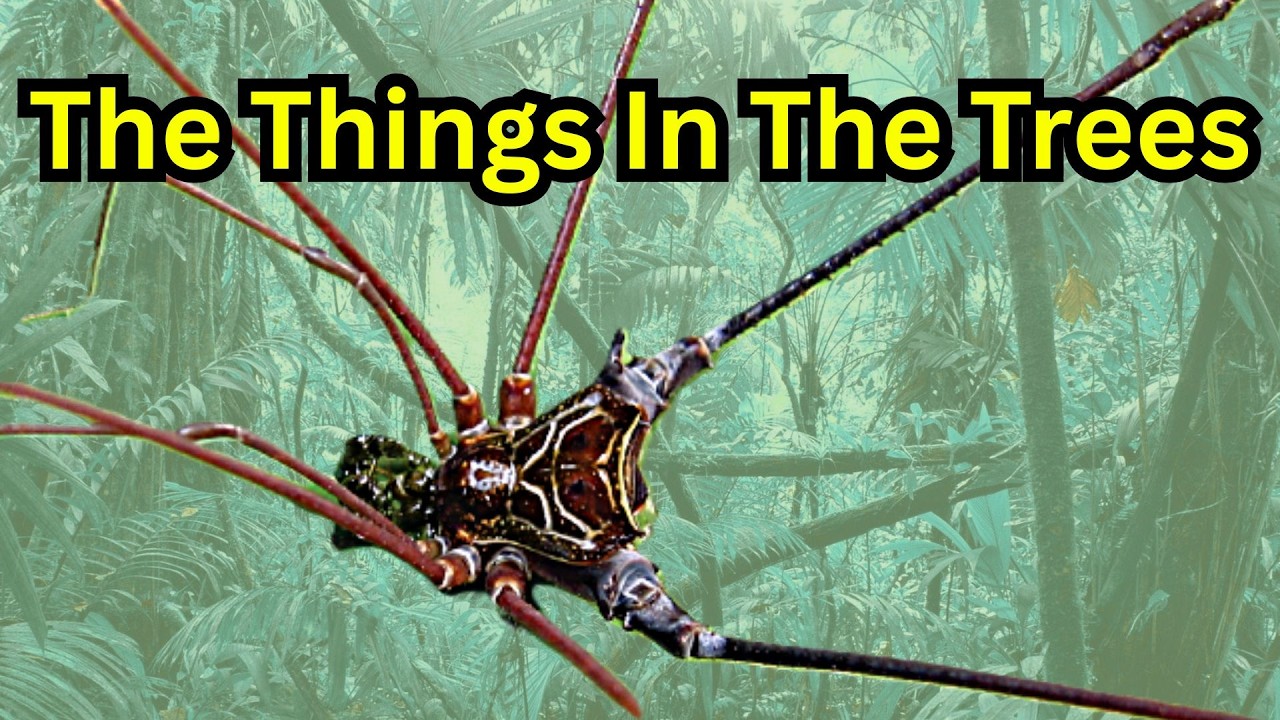 Giant Fighting Arachnids in the Trees - Serracutisoma proximum ...