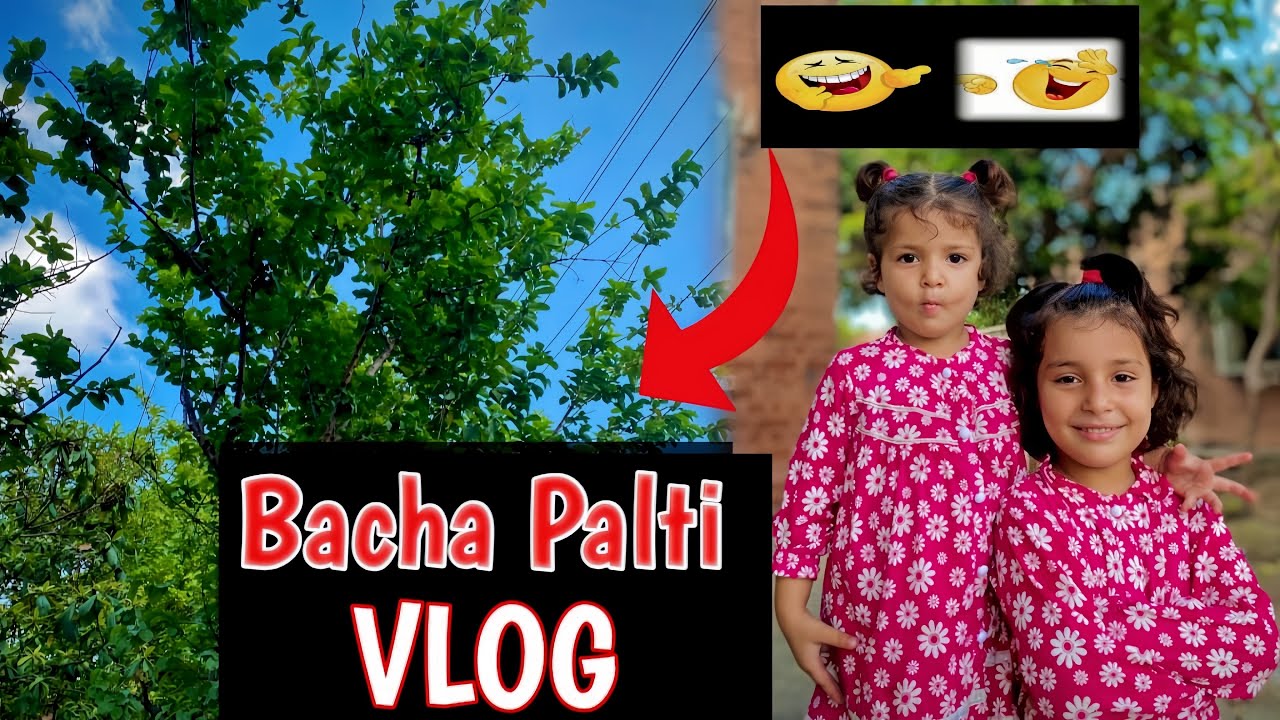 Bacha Palti Vlog | Funny Baby Palti Video |Cute Kid Falling | Baby ...