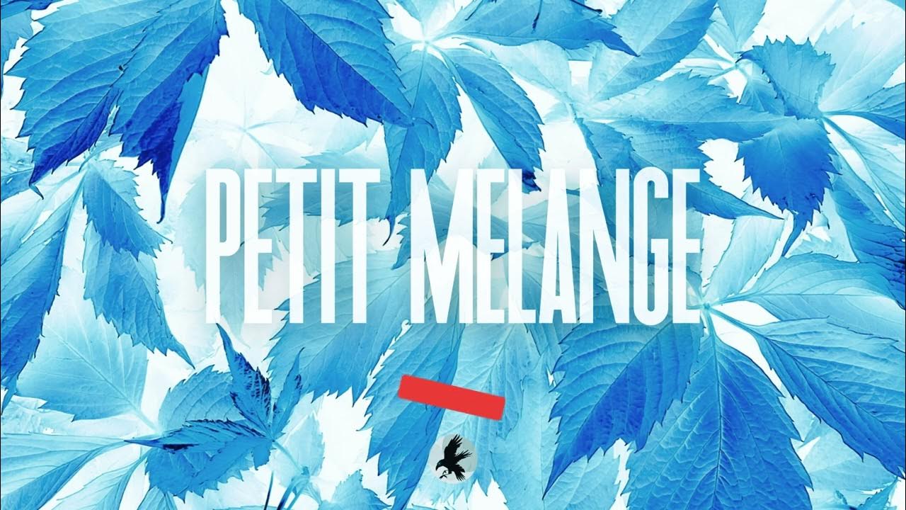 Ninho X Maes Type Beat - "PETIT MELANGE" (Instru Rap Piano 2023) - YouTube