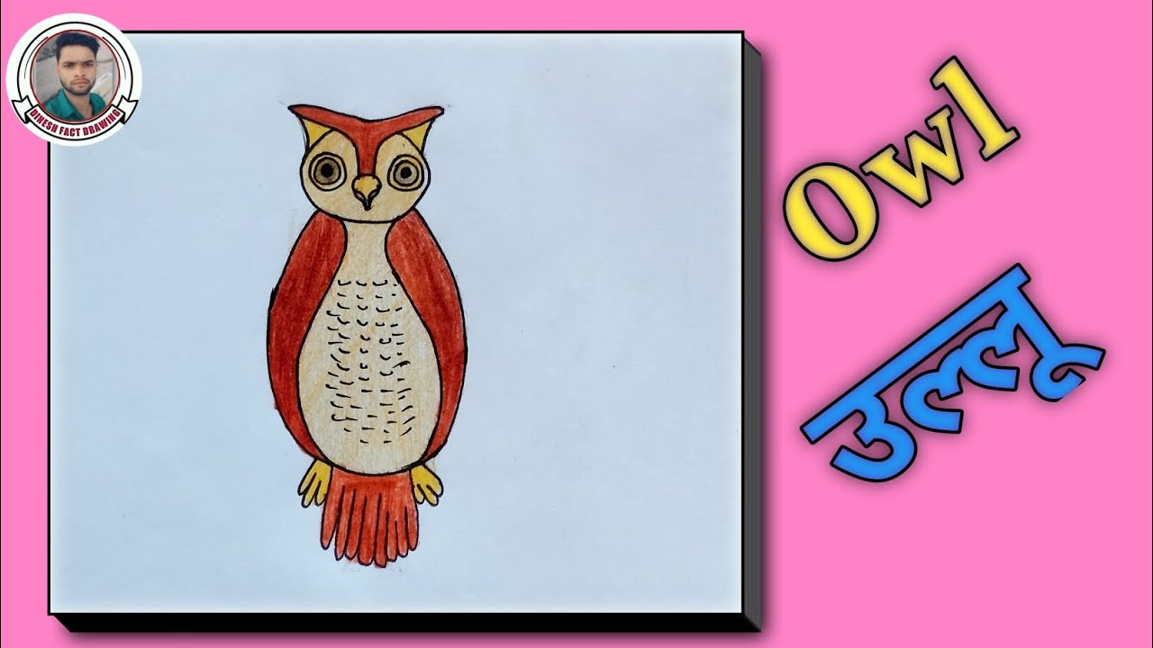 उल्लु का चित्र कैसे बनाया जाता हैं? Owl pencil sketch colour step by ...