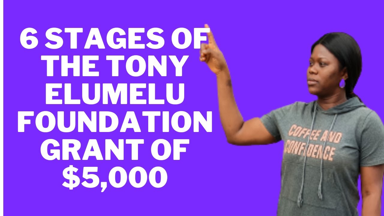 The Stages Of The Tony Elumelu Foundation Entrepreneurship Program from ...
