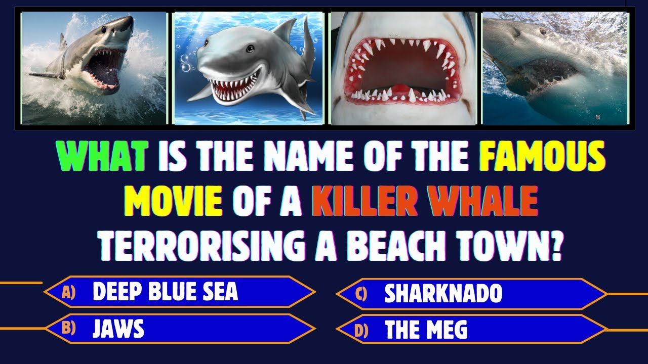 Shark Quiz | Sea Animals 🦈🌊 | Colossal Squid | Animal Quiz for kids ...