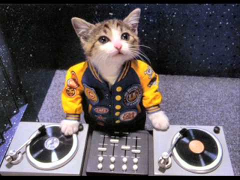 DJ FEDERER   STRONG SONG