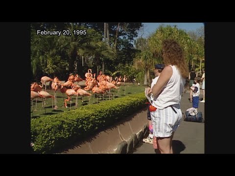 Throwback Thursday--2 stories from February 20, 1995 - YouTube