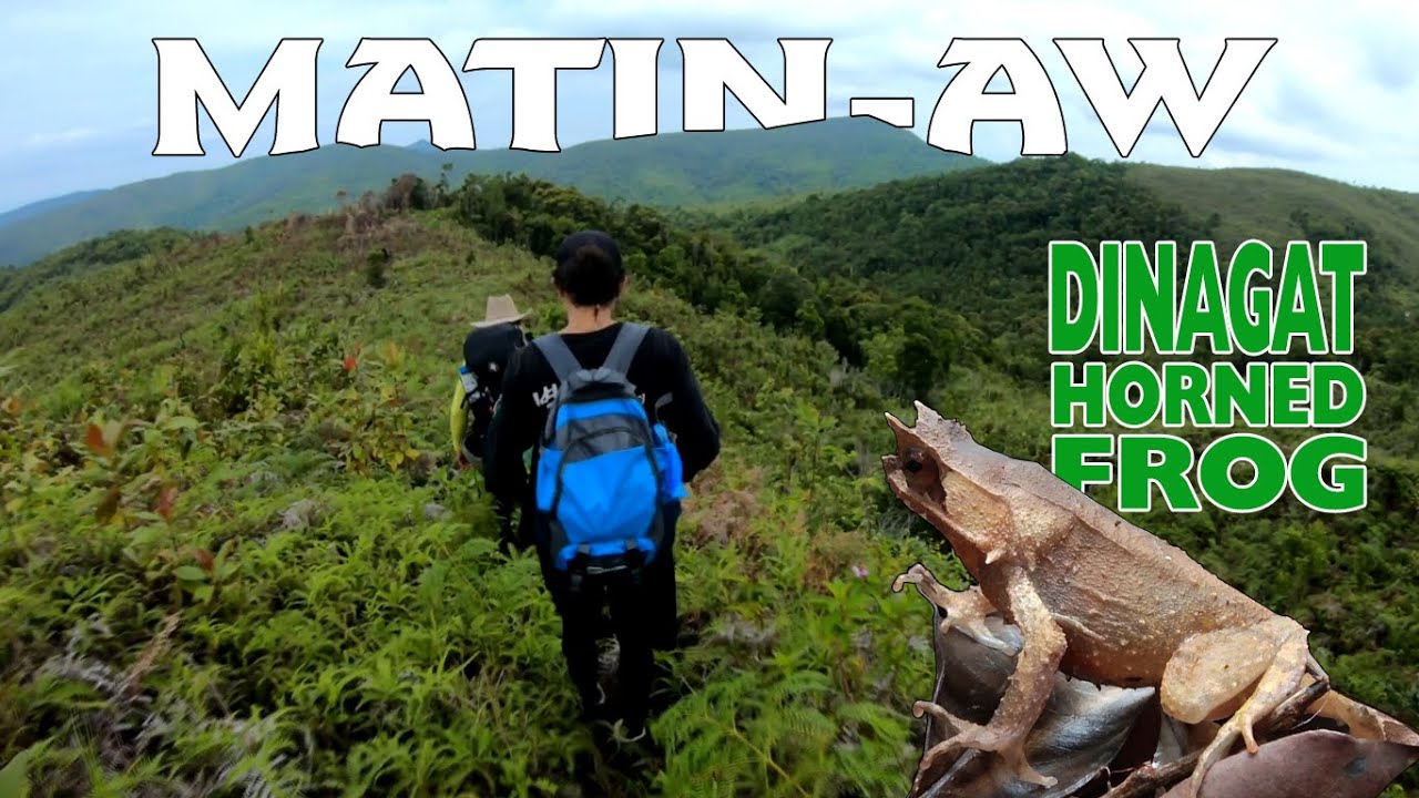 Matin-aw Manoligaw Hike - YouTube