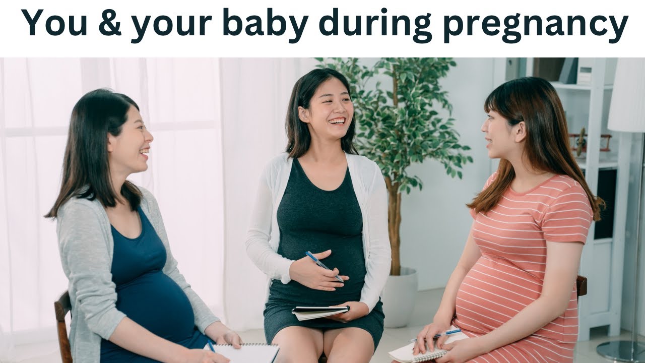 Pregnancy Journey Explained Week by Week by a Health Expert - YouTube
