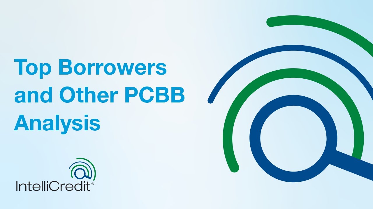 Top Borrowers and Other PCBB Analysis - YouTube
