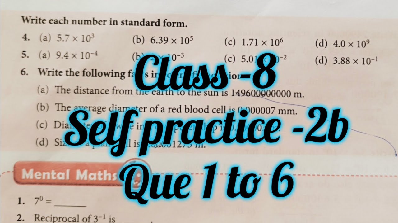 new learning composite mathematics class 8 solutions chapter 2 | schand maths self practice 2b ...