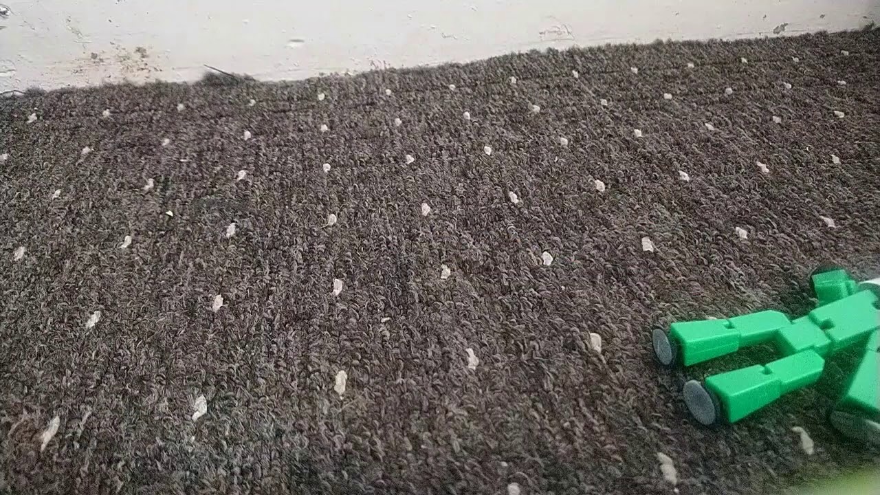 New weapon season 1 episode 4 stick bot last being's alive - YouTube