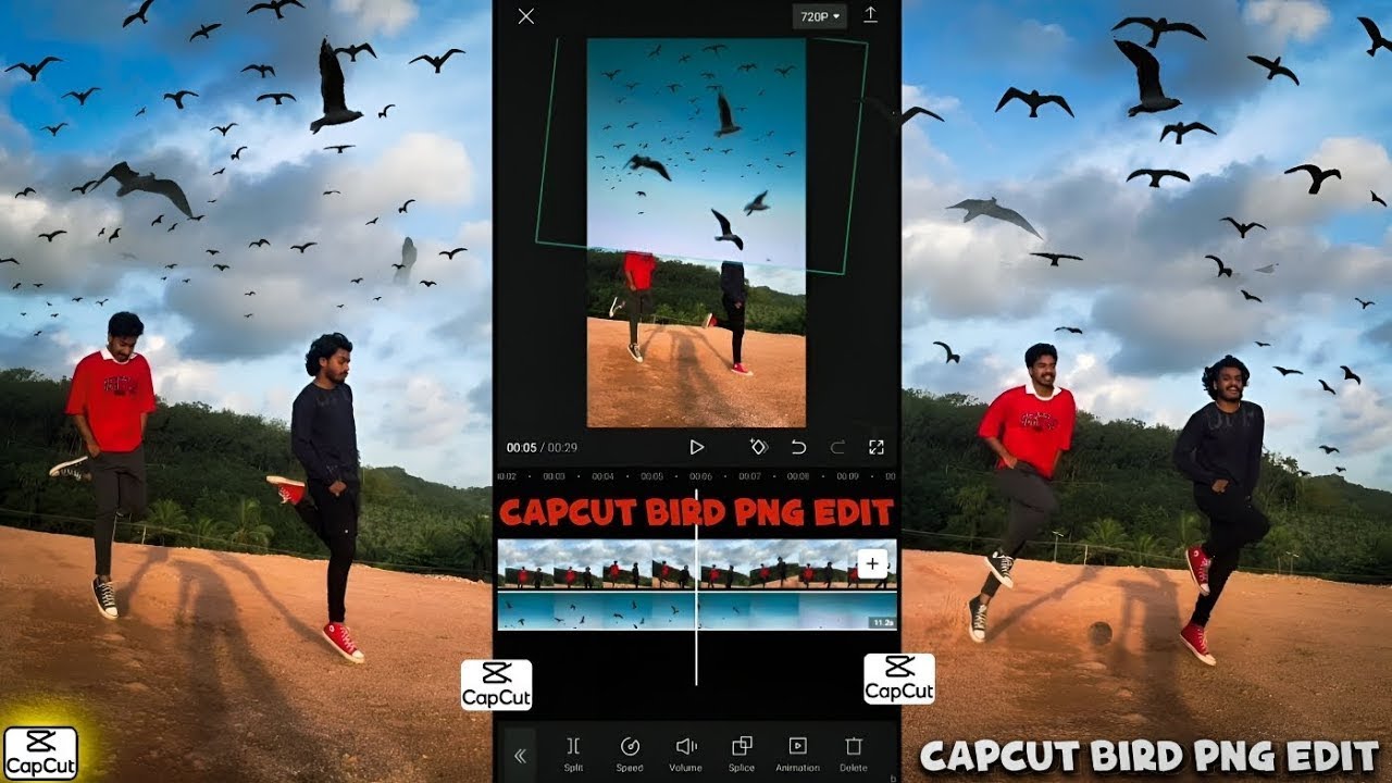 How to Edit a Bird PNG Video (using Capcut) - YouTube