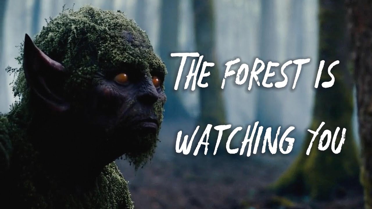 The Forest Is Watching You - YouTube