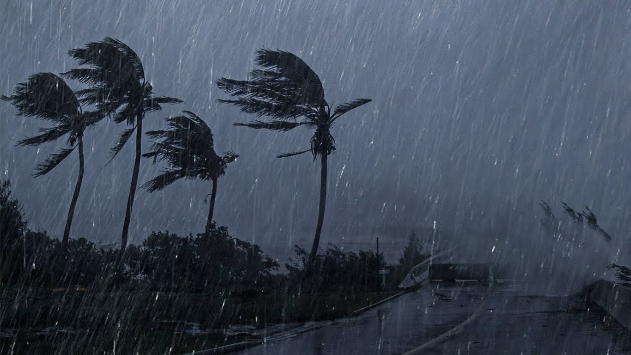 Goodbye Stress to Sleep Instantly with Havy Rain For Relaxing or ...