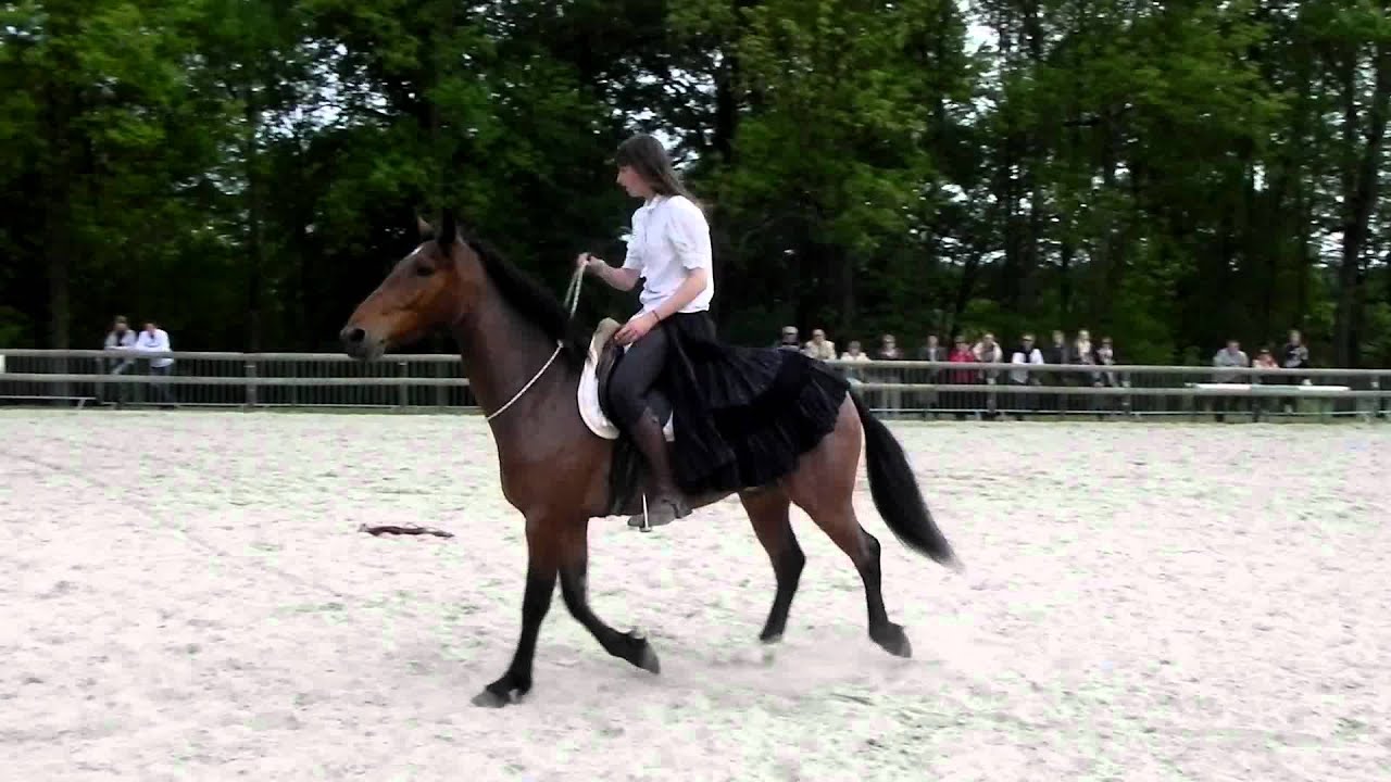 Spectacle équestre 2012 - YouTube