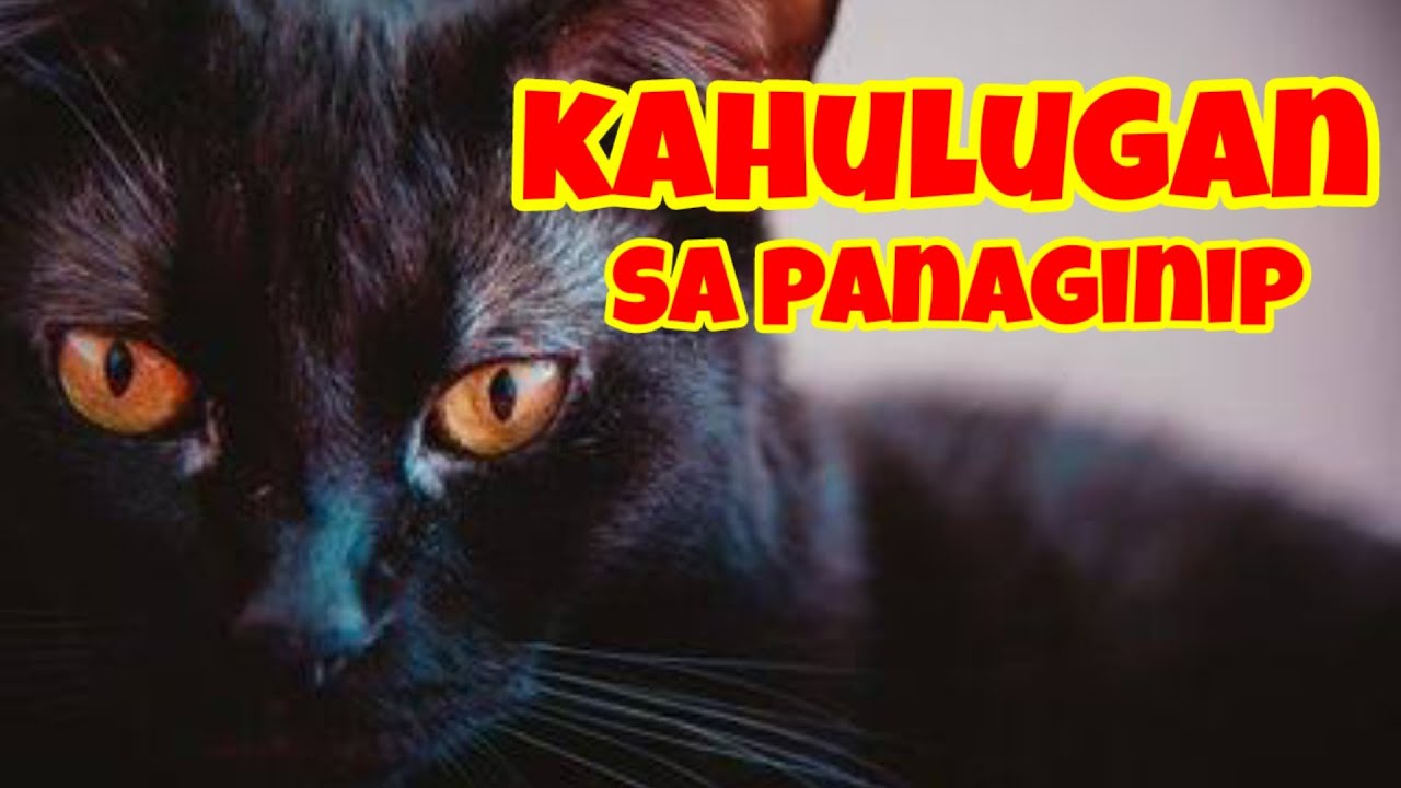 IBIG SABIHIN KAPAG NANAGINIP KA NG ISANG PUSA? pusa sa panaginip ...