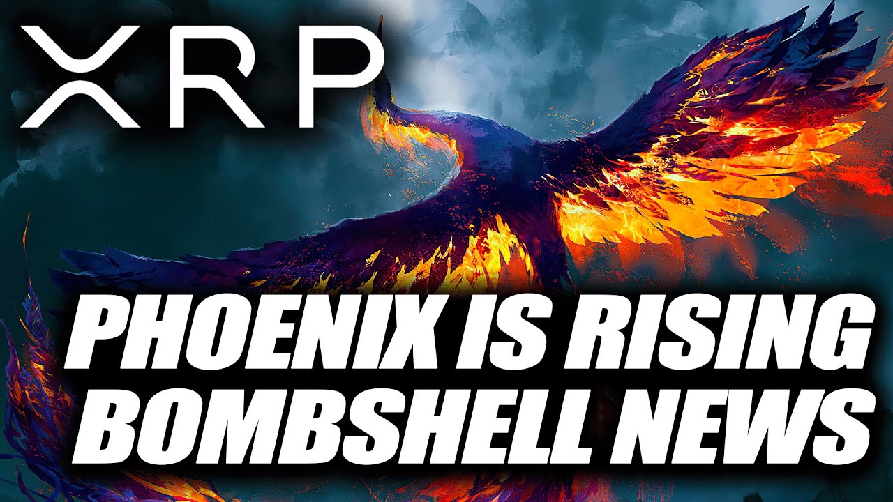 RIPPLE XRP THE PHOENIX IS RISING🚨CFTC VS SEC XRP BOMBSHELL NEWS🚨XRP IS ...
