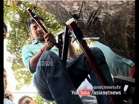 New model of coconut tree climbing machine, invented by brothers - YouTube