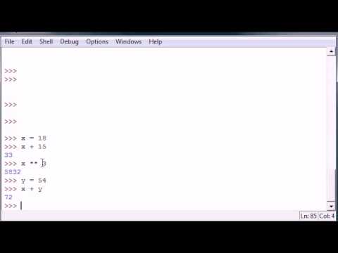 Python Programming Tutorial 3 Variables video x flv - YouTube