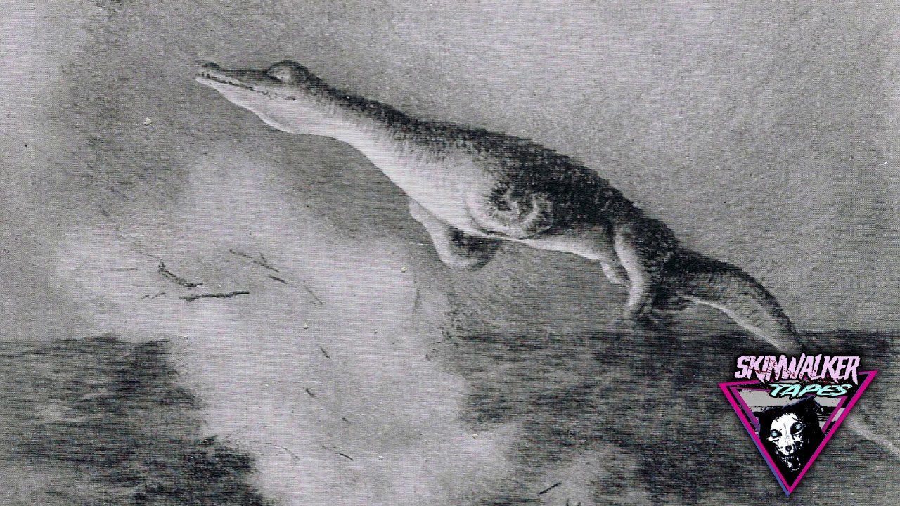 MYSTERIOUS CREATURES: Buru - Unknown Lizard Of Central Asia - YouTube