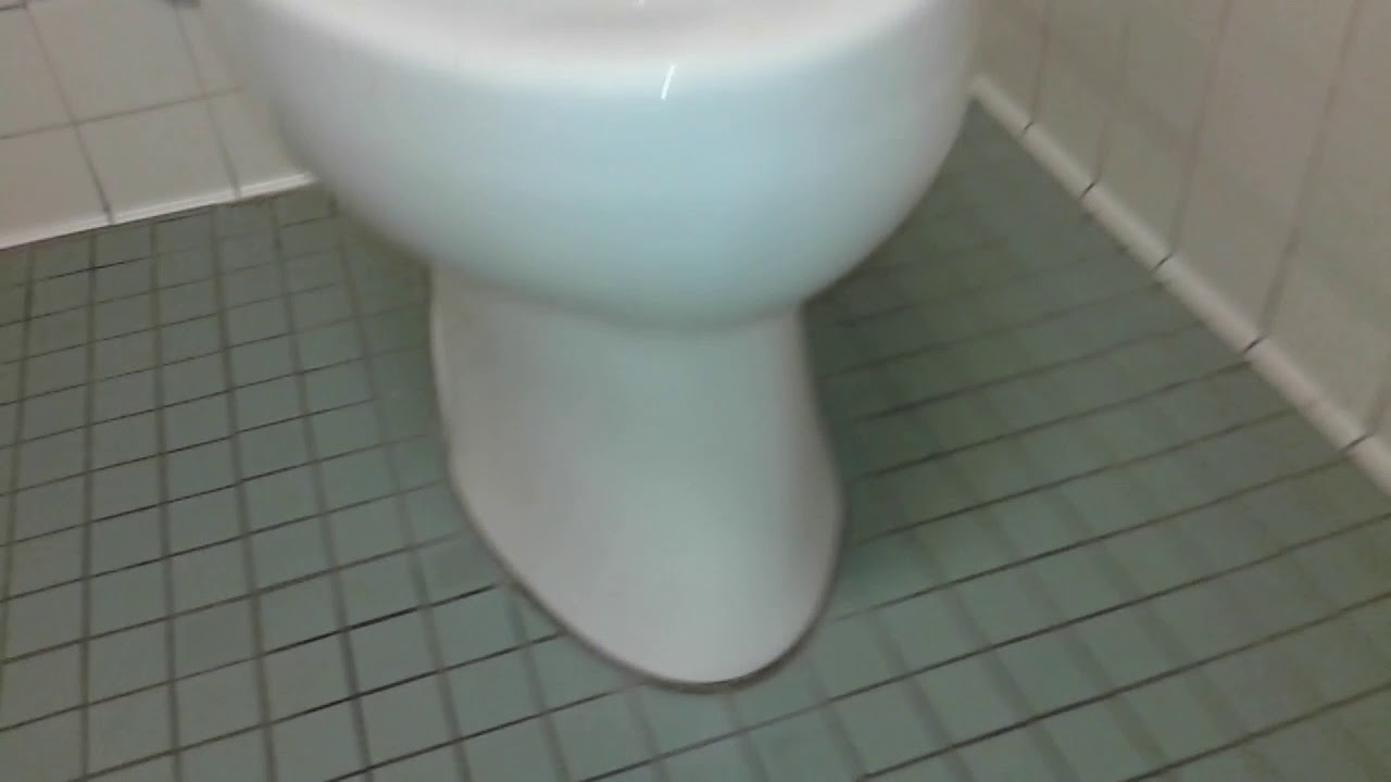 282. A Kohler Wellcomme Toilet At Markham Park - YouTube