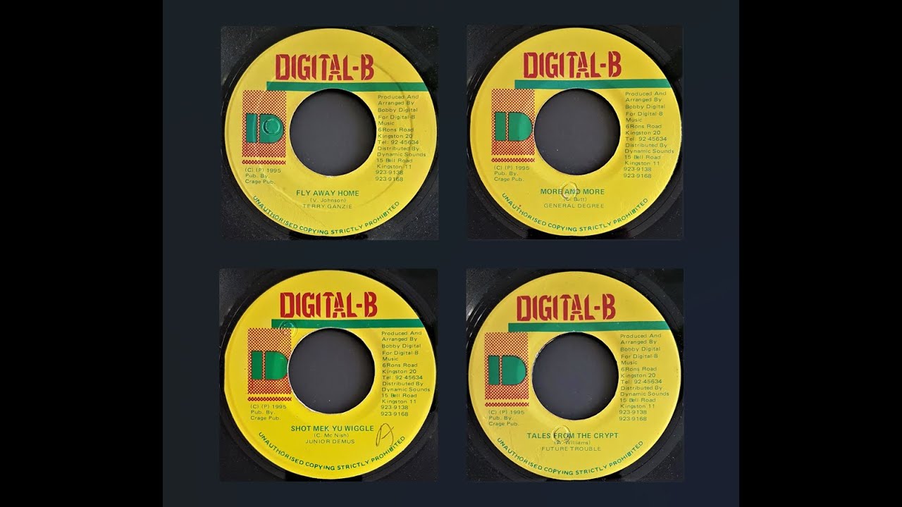 Sick Riddim Mix 1995: Terry Ganzie, General Degree, Jr Demus, Future ...