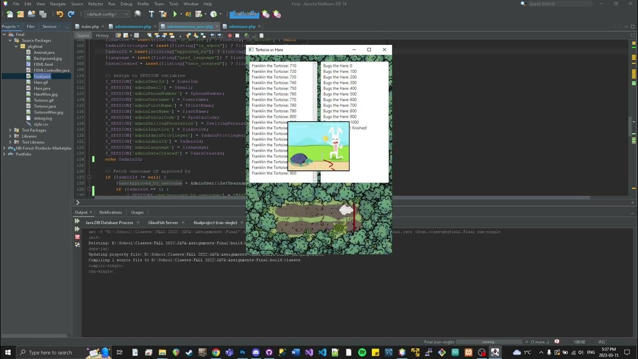 JAVA Project: Tortoise and Hare - YouTube