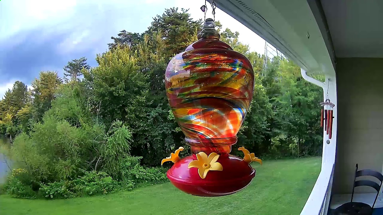 Mike Treadwell Live Stream - YouTube