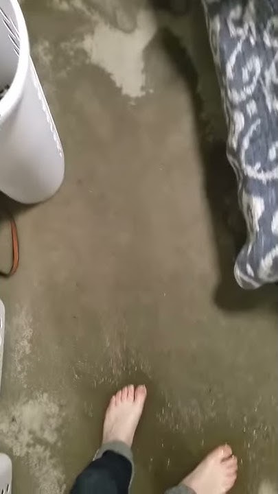 My apartment flooded and i don't know what to do. - YouTube