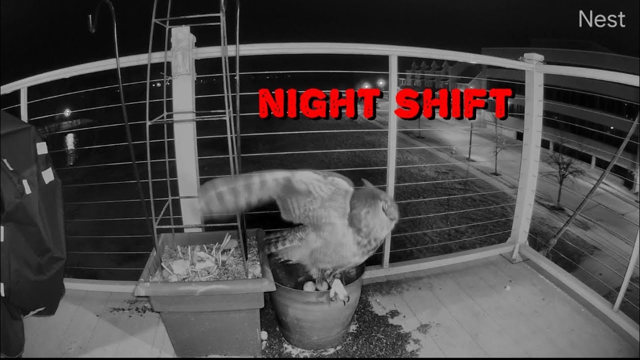 night shift march 27th - YouTube