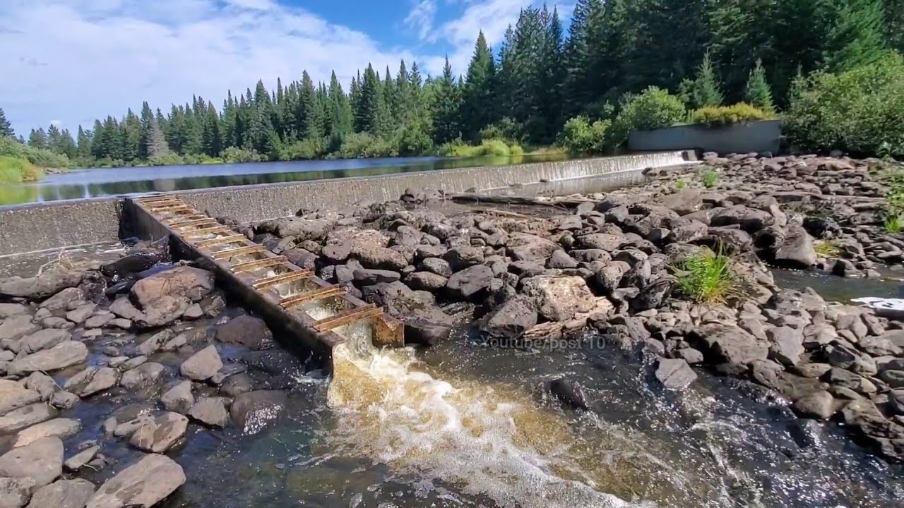Low Head Dam Fish Ladder & Storm Discharge Filter - YouTube