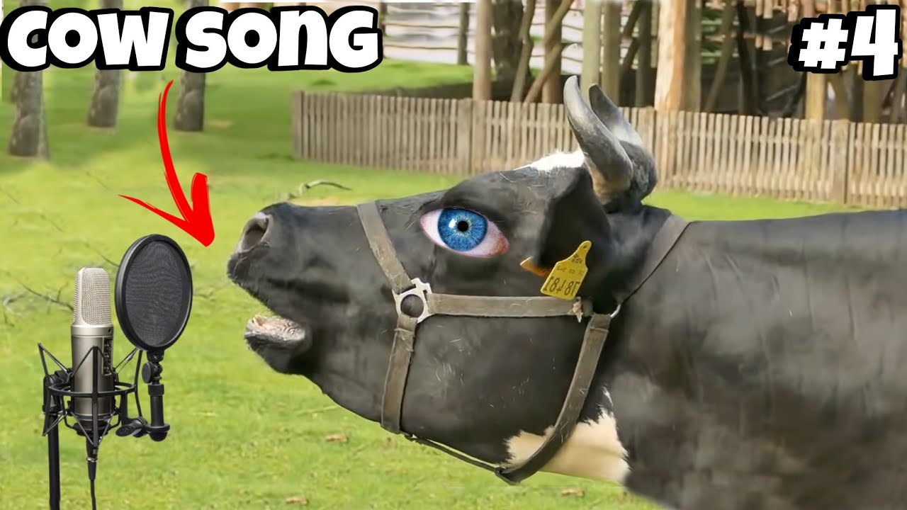 FUNNY COW DANCE 4 | Cow Song & Cow Videos 2023 | New Cow dance | funny ...