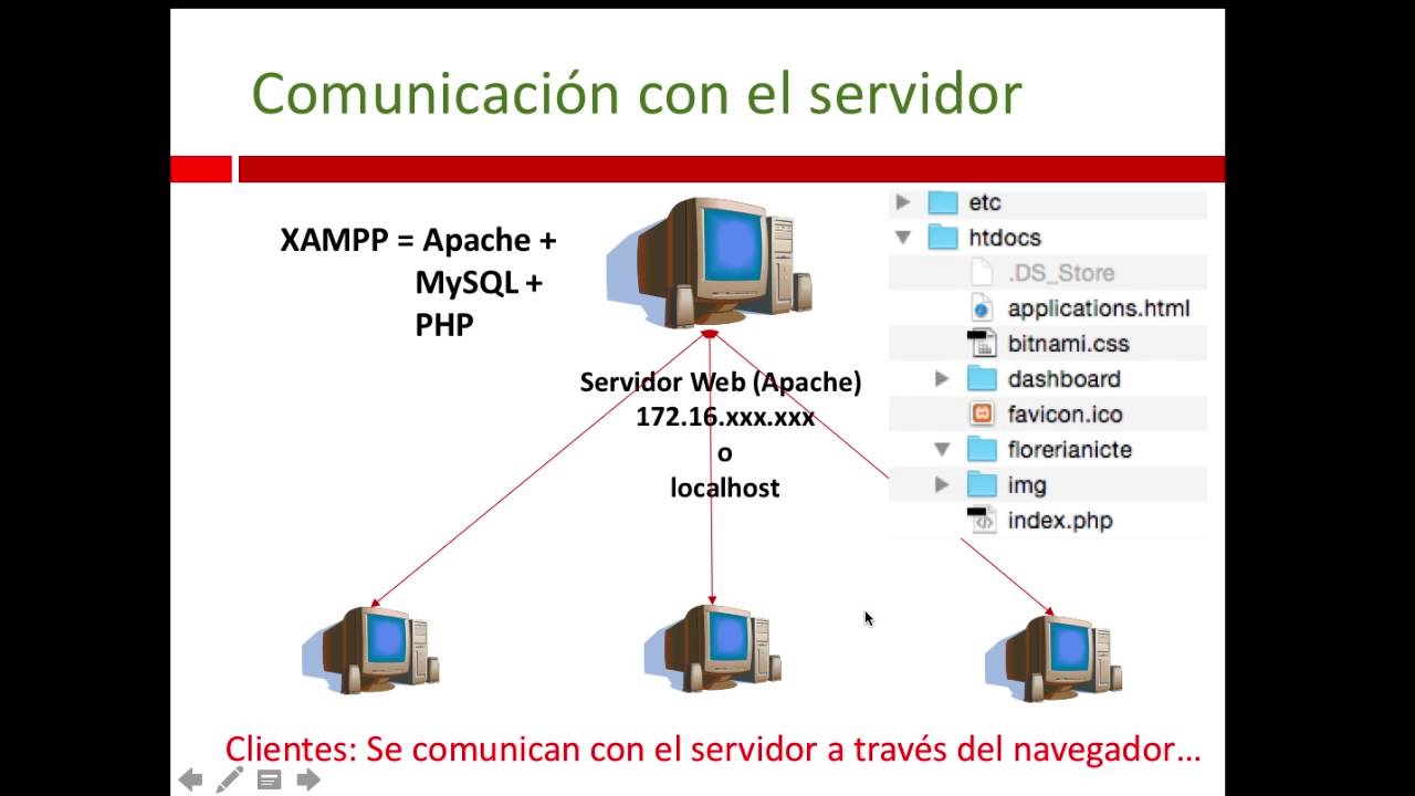 Comprender Xampp Con Sus Funciones Y Partes Important