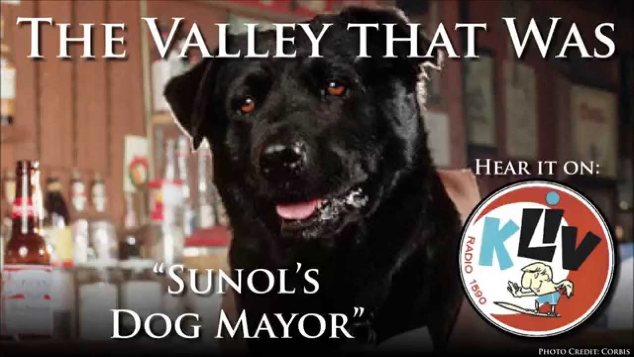 Sunol's Dog Mayor - YouTube