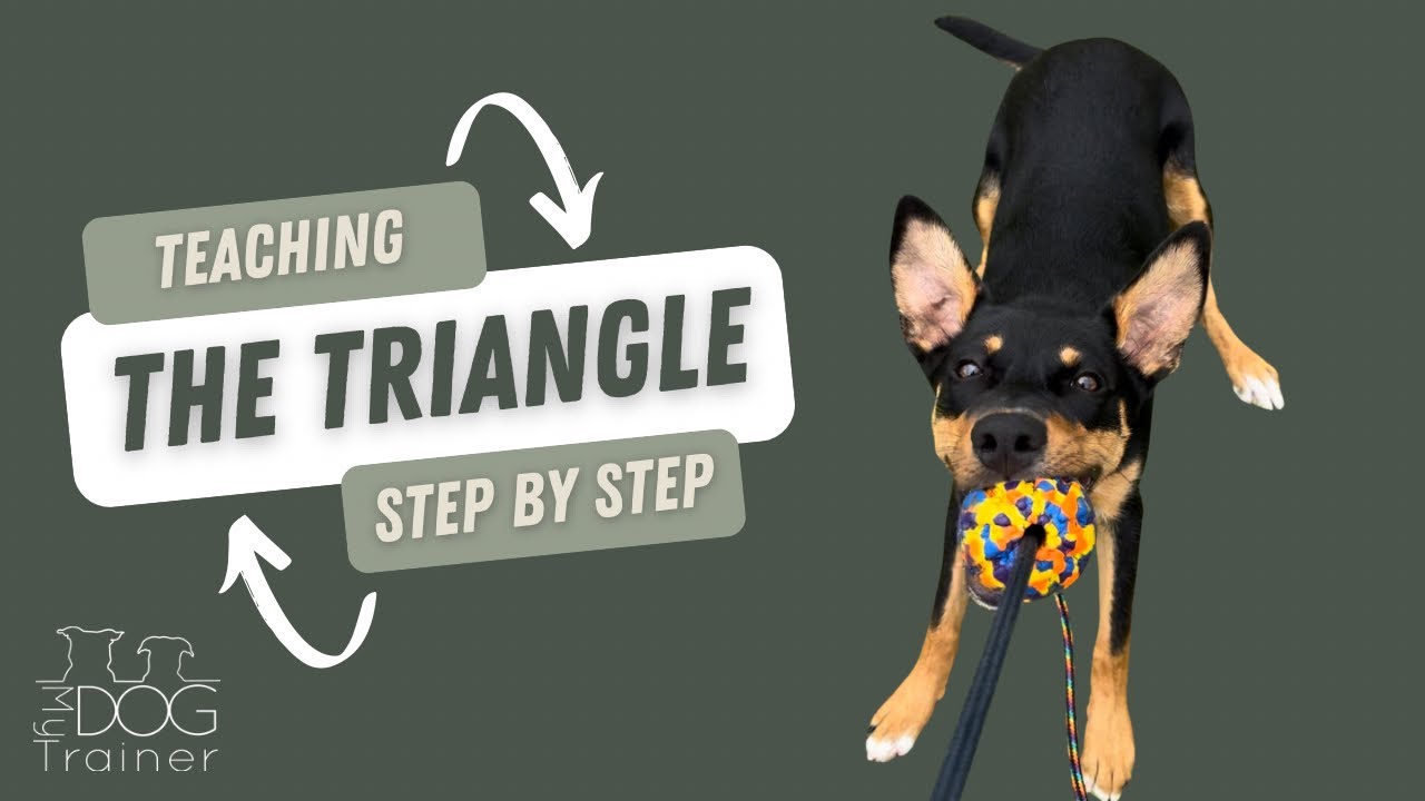 Teaching the TRIANGLE exercise. - YouTube