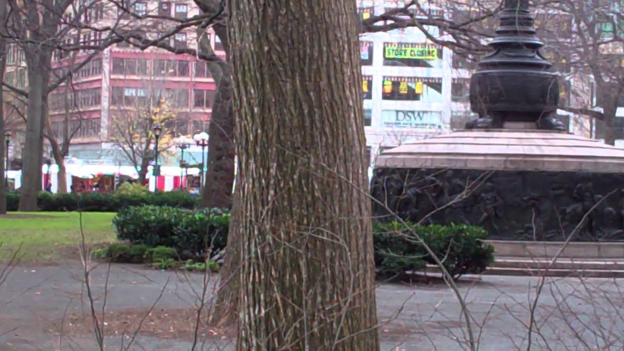 Pretty tree trunk - YouTube