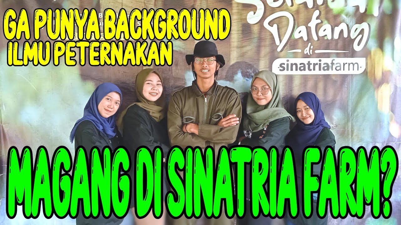 Ga Punya Background Ilmu Peternakan, Magang Di SINATRIA FARM? Bersama ...