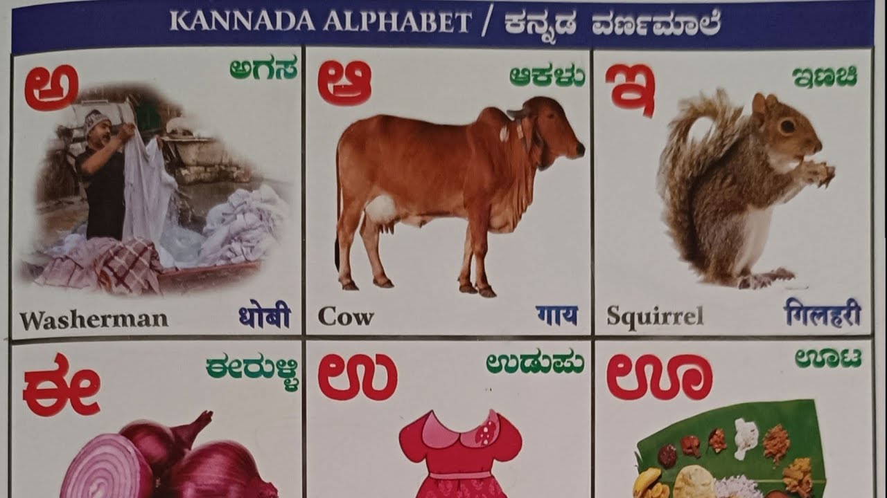 Kannada Alphabets| ಕನ್ನಡ ಅಕ್ಷರಮಾಲೆ| kannada varnamala| kannada letters ...
