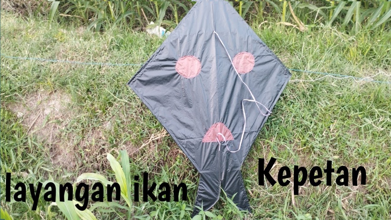 LAYANGAN IKAN ATAU KEPETAN - YouTube