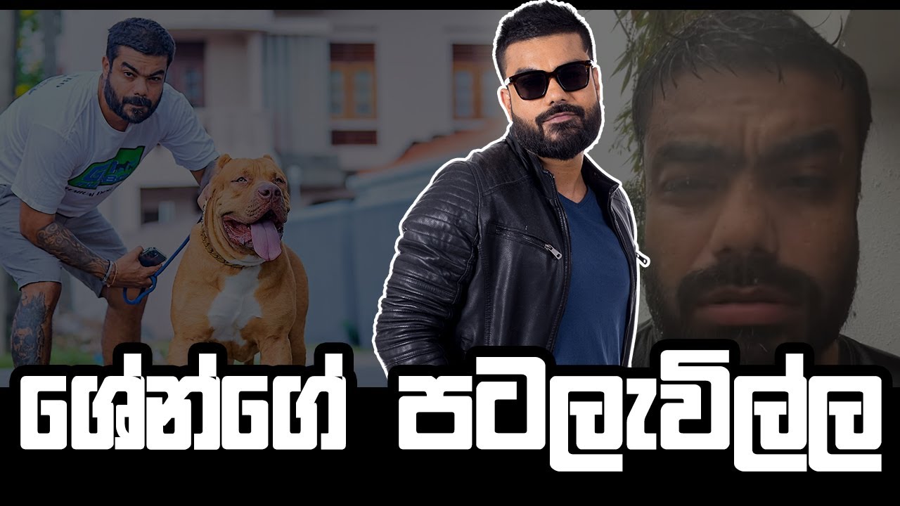Shane Zing Karunaratne | ශේන්ගේ පටලැවිල්ල - YouTube