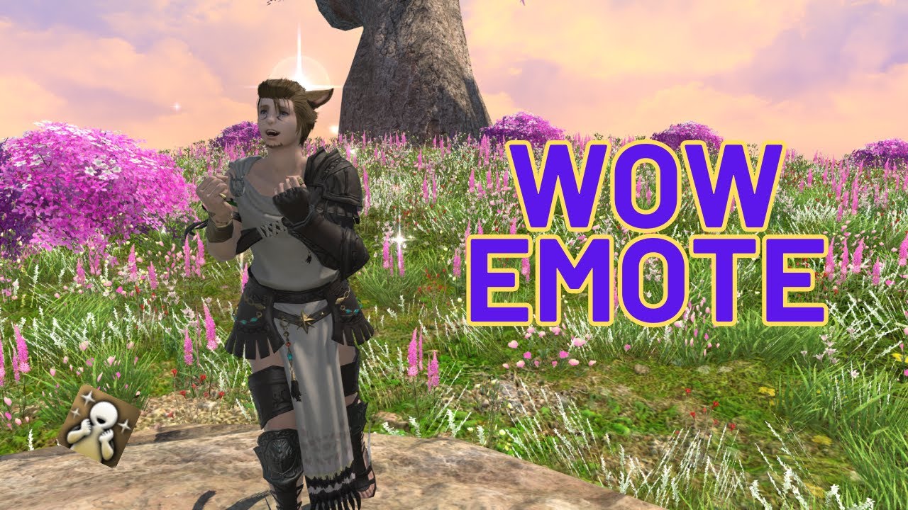 FFXIV Wow Emote - YouTube
